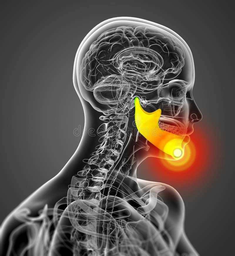 Skull Side Jaw Stock Illustrations – 246 Skull Side Jaw Stock ...