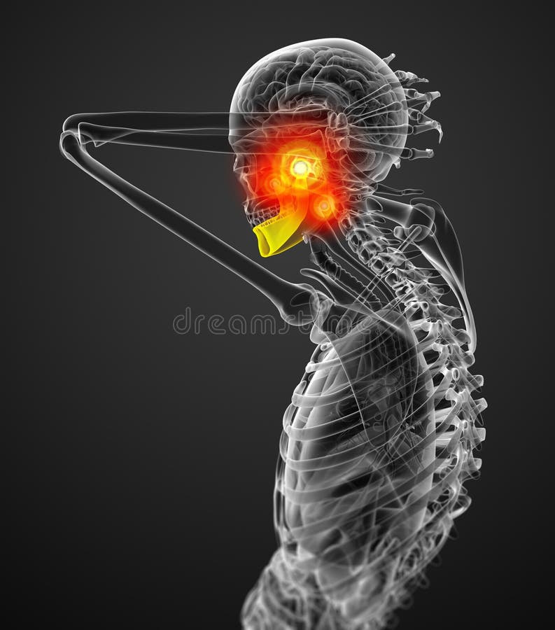 3d Rendered Illustration - Jaw Bone Stock Illustration - Illustration ...