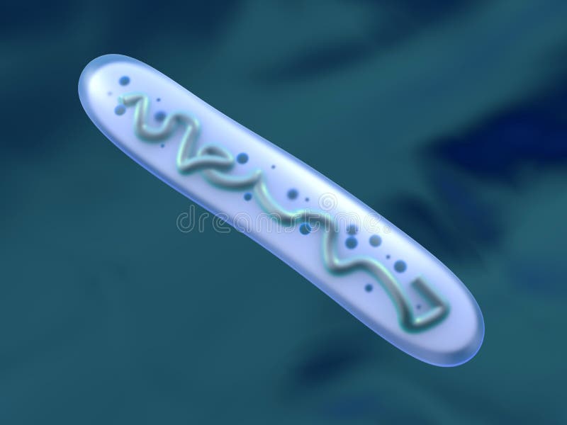 Lactobacillus Bacteria stock illustration. Illustration of bacteria - 61297