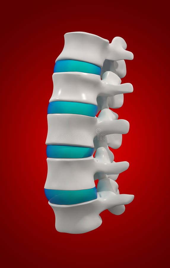 3D Rendering Illustration of Lumbar Stock Illustration - Illustration ...
