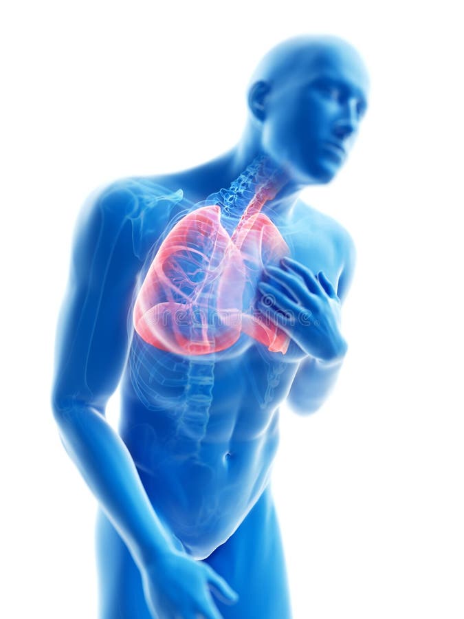 An inflamed trachea stock illustration. Illustration of anatomy - 115598643