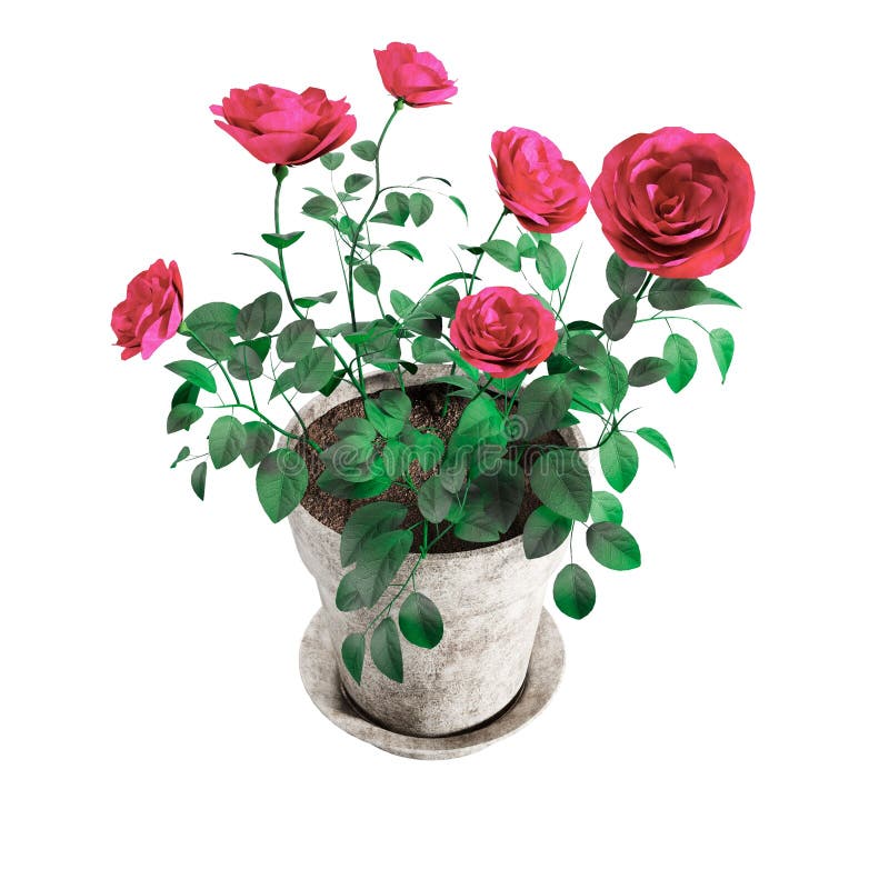 3D Rendered Illustration of a Potted Plant with Vibrant Red Roses ...