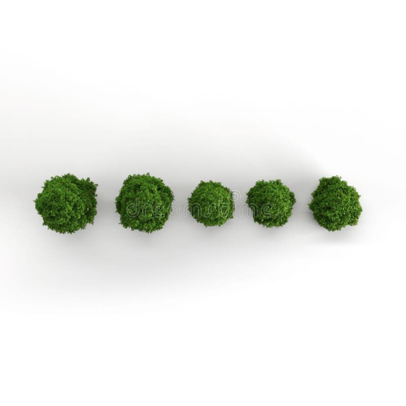 3D Rendered Illustration of a Row of Small Trees Stock Illustration ...