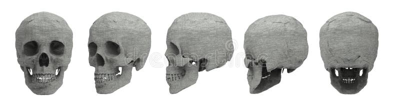 3d Rendered Illustration of the Skull Bone Stock Illustration ...