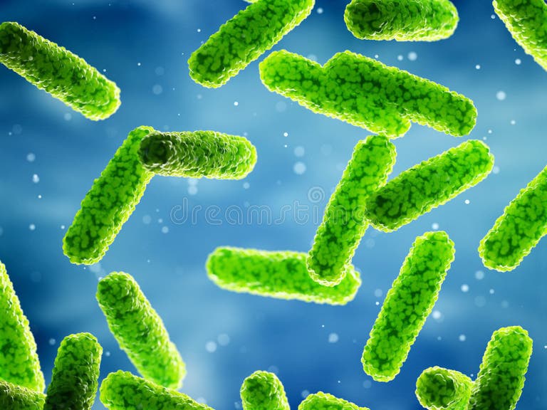Generic Bacteria Stock Illustrations – 258 Generic Bacteria Stock ...