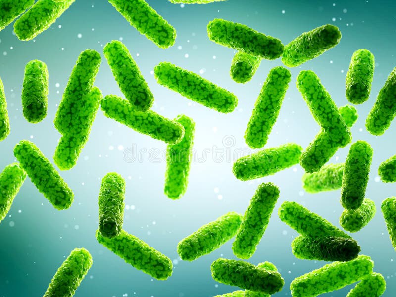 Box-shaped Bacteria. Bacteria Classification. Irregular Shapes of ...