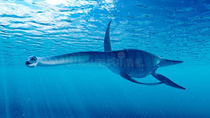 Styxosaurus Stock Illustrations – 41 Styxosaurus Stock Illustrations ...