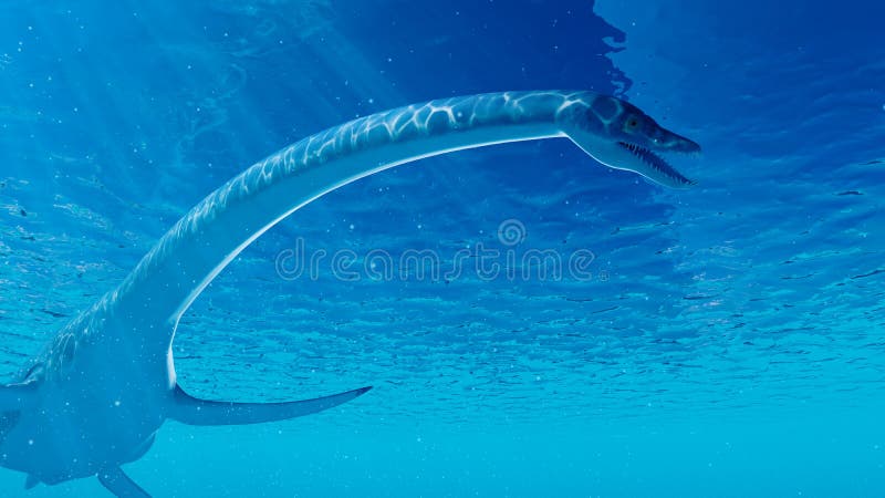 Styxosaurus Stock Illustrations – 34 Styxosaurus Stock Illustrations ...