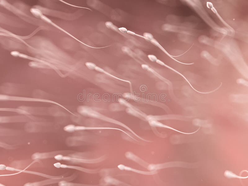 Human sperm stock illustration. Illustration of genetic - 145657026