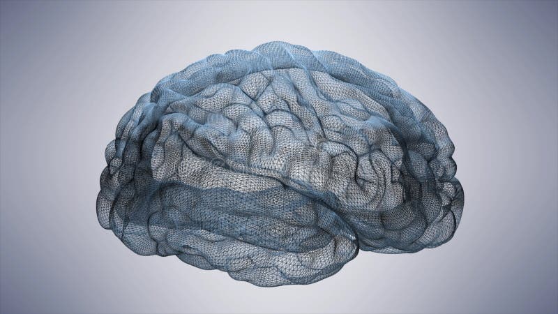 3d Rendered Illustration of Wireframe Brain Stock Illustration ...