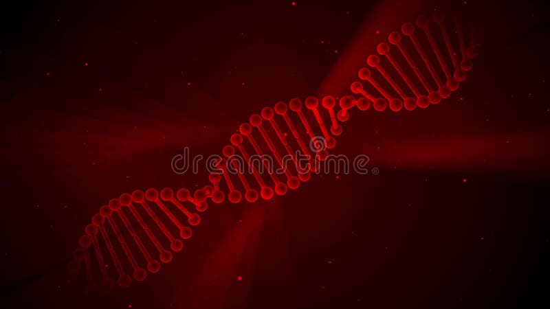 Rotating DNA Glowing Molecule on Dark Red Background. 3D Rendered ...