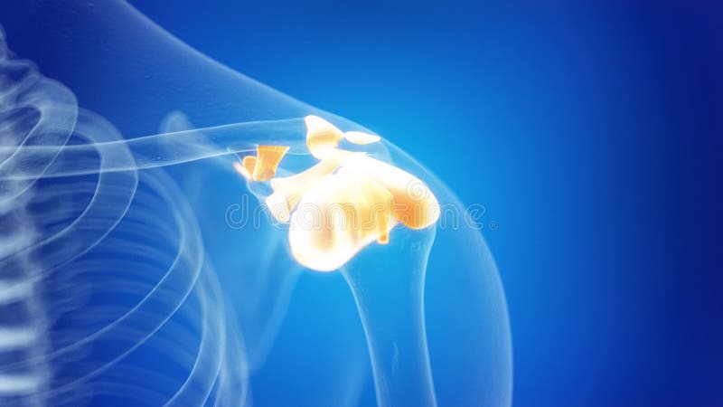 Shoulder Joint Pain Anatomy for Medical Concept 3D Stock Footage ...