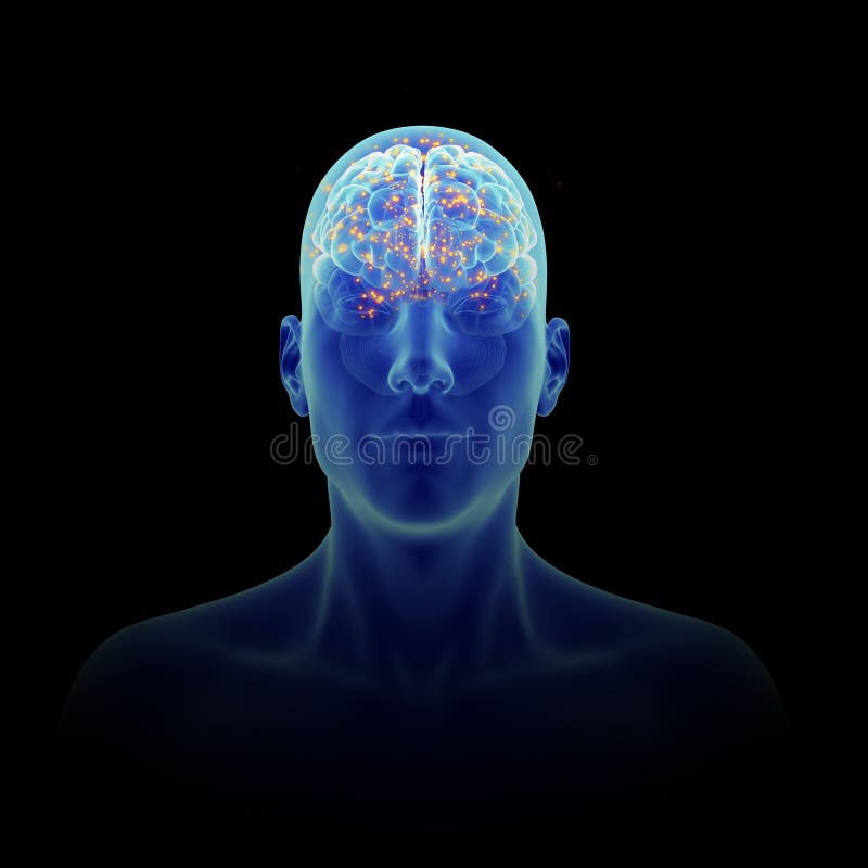 An active brain stock illustration. Illustration of biomedical - 115597973