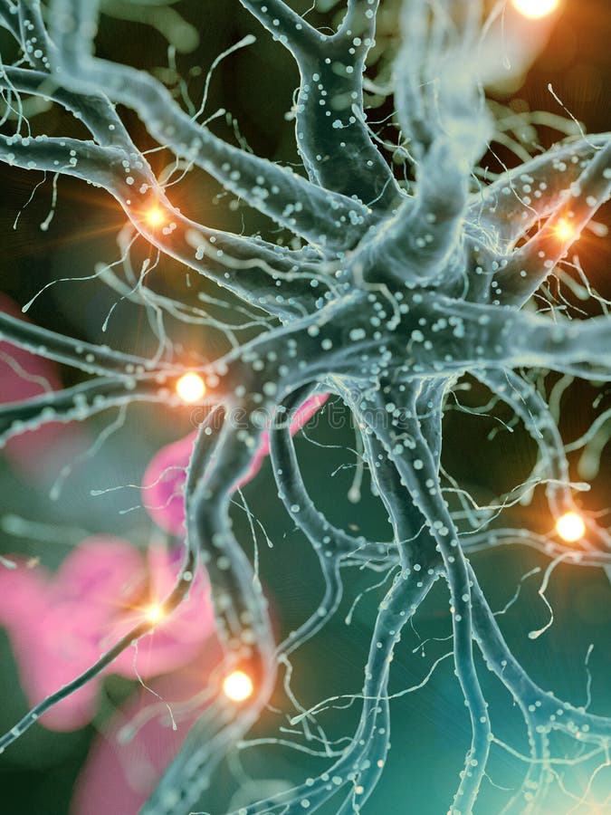 Active Nerve Cell In Human Neural System Stock Illustration ...