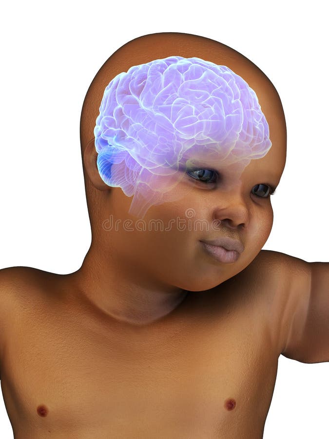 A babys brain stock illustration. Illustration of clinical - 149528931