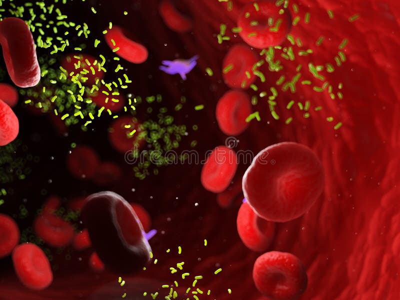 Bacterias in an artery stock illustration. Illustration of macro ...