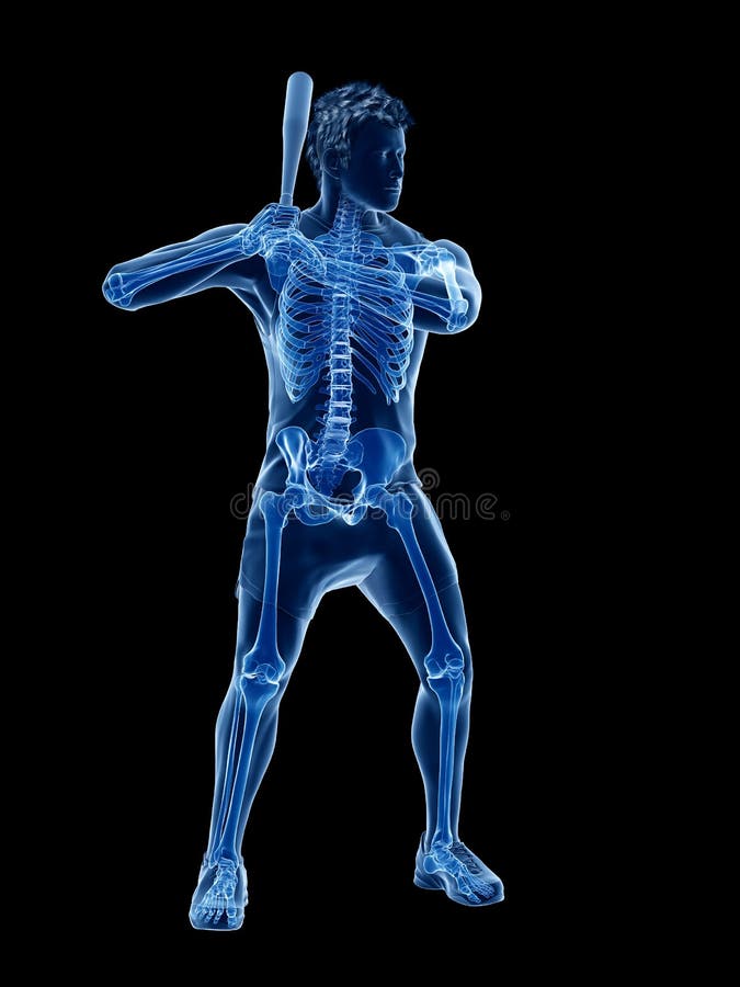 A baseball players muscles stock illustration. Illustration of muscles ... A baseball players muscles stock illustration. Illustration of muscles ...
