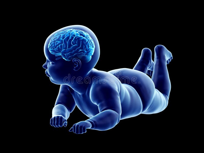 Baby Brain Development Poster, Flat Cartoon Vector Illustration ...