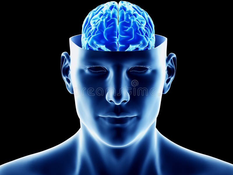 Brain Open Stock Illustrations – 3,671 Brain Open Stock Illustrations ...
