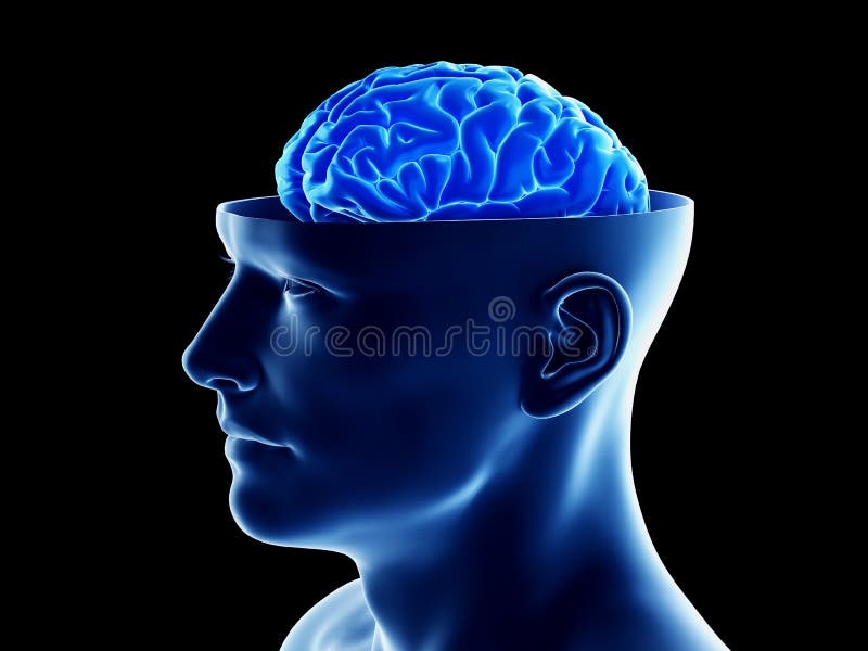 Open Head Business Stock Illustrations – 2,704 Open Head Business Stock ...