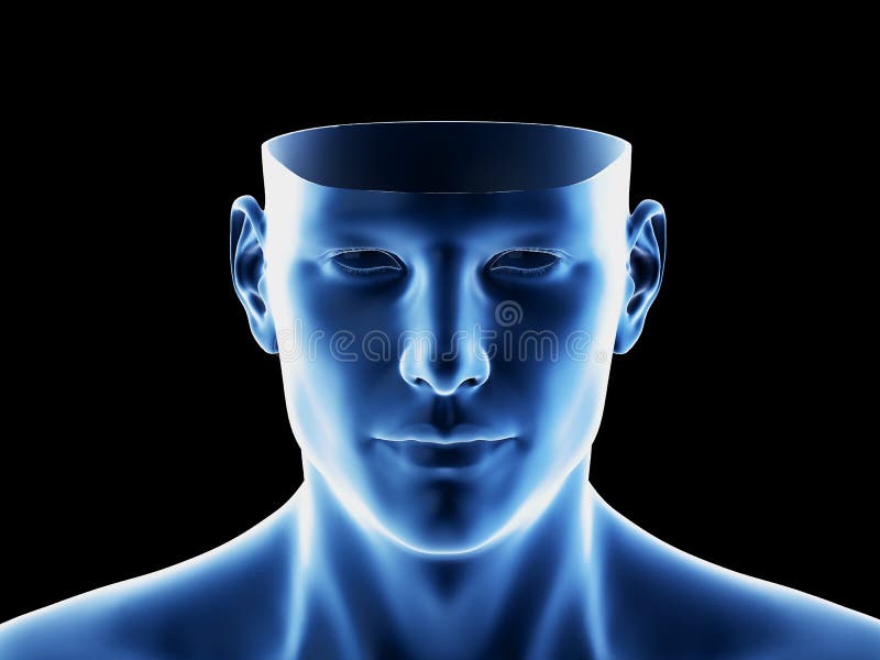 A cut open head stock illustration. Illustration of medical - 162287289