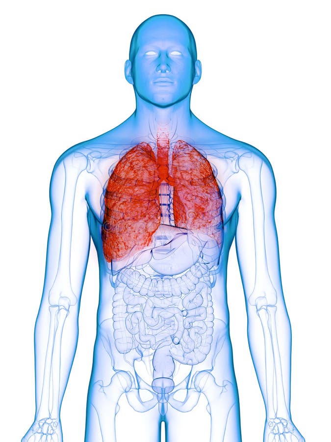 Bad lung stock illustration. Illustration of medicine - 1854512