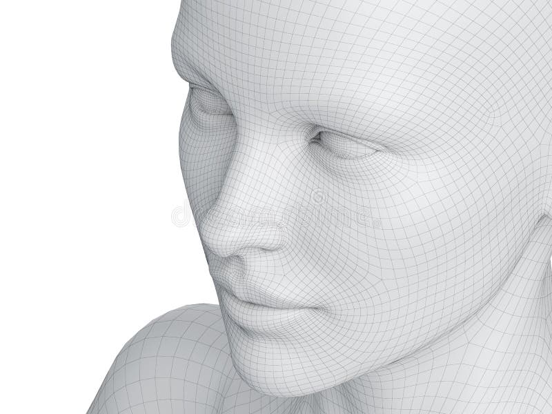 A female wireframe face stock illustration. Illustration of graphic ...