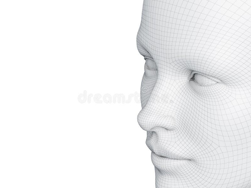A female wireframe face stock illustration. Illustration of human ...
