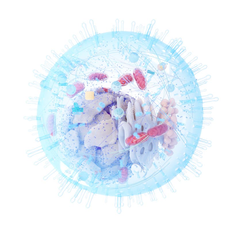 3a human cell stock illustration. Illustration of stem - 131425014