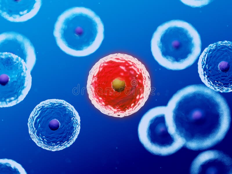 Human cells stock illustration. Illustration of core, electron - 8061249