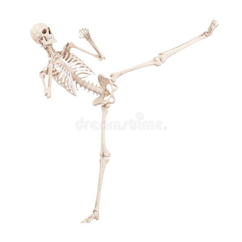 Skeleton fighting stock illustration. Illustration of bones - 13169323