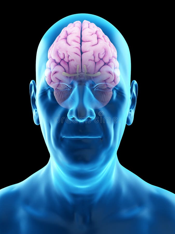 Dementia Artwork Stock Illustrations – 51 Dementia Artwork Stock ...