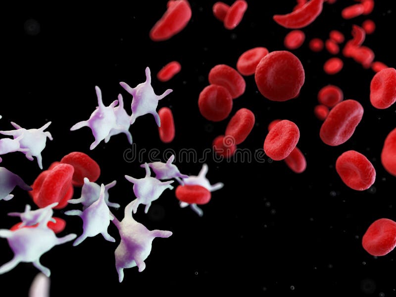 Platelets Stock Illustrations – 821 Platelets Stock Illustrations ...