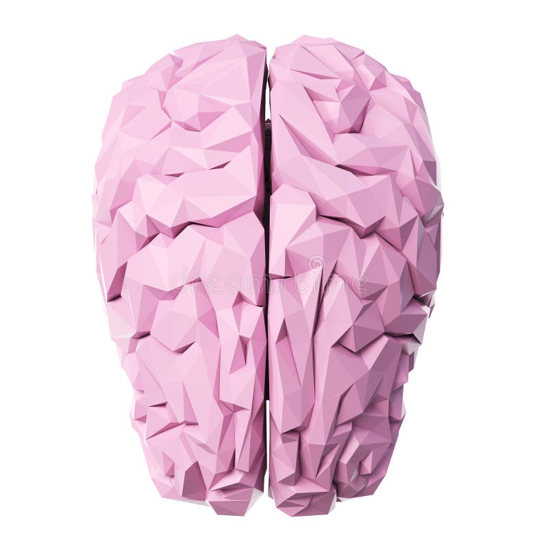 A poly style brain stock illustration. Illustration of polygon - 141768736