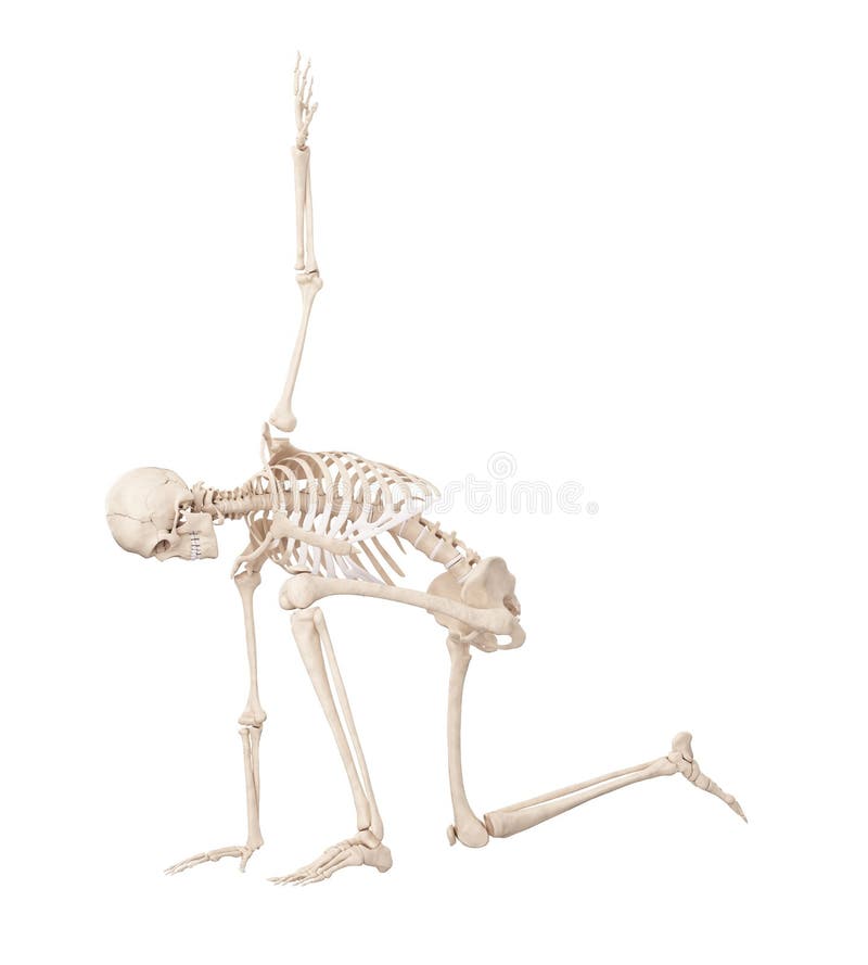 A posing skeleton stock illustration. Illustration of rendered - 100717134