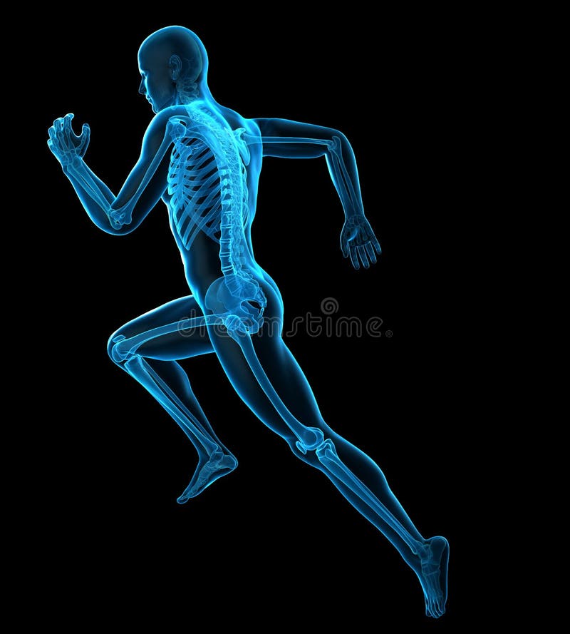 Views of human spine stock illustration. Illustration of bone - 2849738