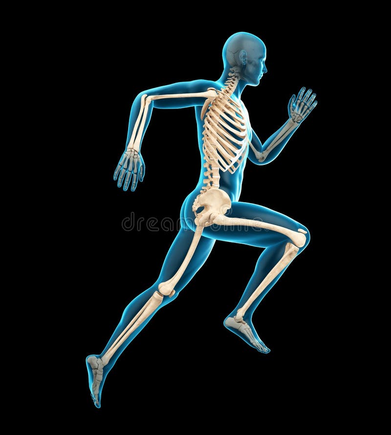 A runners bones stock illustration. Illustration of runners - 75189204