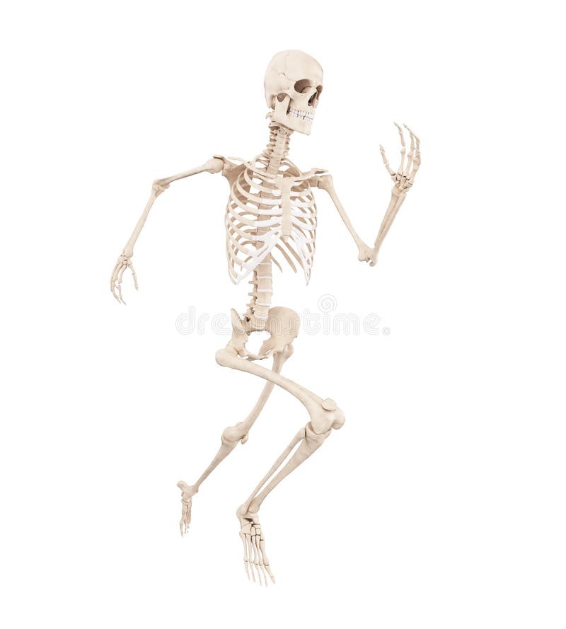 Running Skeleton Stock Illustrations – 1,405 Running Skeleton Stock ...