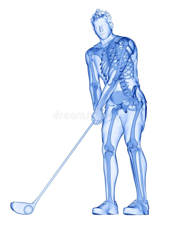 The Skeleton of a Golf Player Stock Illustration - Illustration of ...