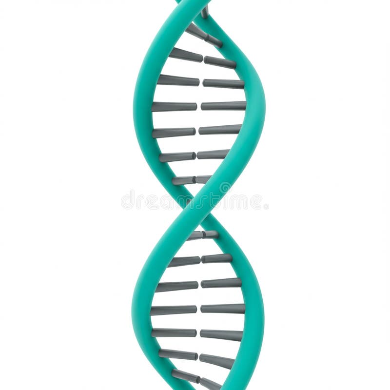 Spaced Gray Rungs Stock Illustrations – 16 Spaced Gray Rungs Stock ...