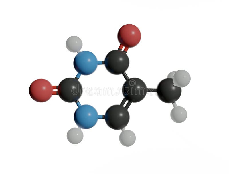 3D Model of Thymine Molecule with White Background Stock Illustration ...