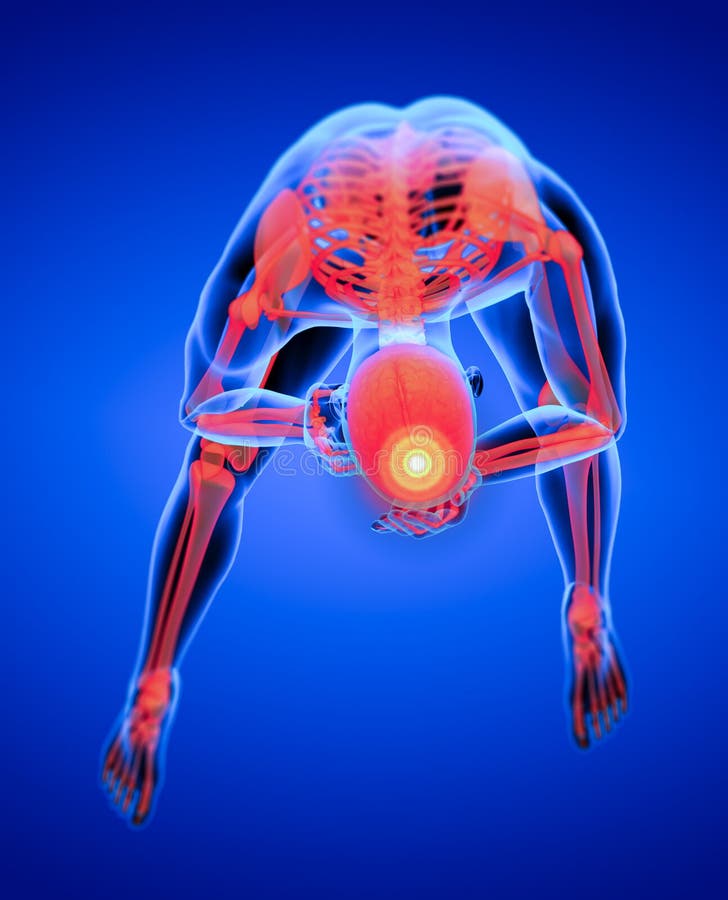 3D Rendering Illustration of Skeleton Stock Illustration - Illustration ...