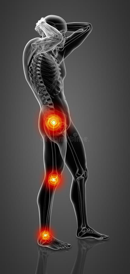 3D Rendering Illustration of Skeleton Bone Stock Illustration ...