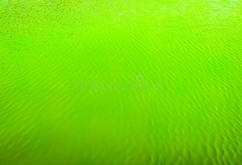 3D Rendering of an Abstract Green Water Background Stock Illustration ...