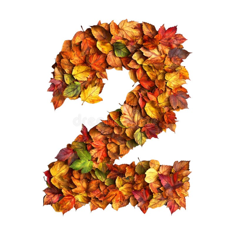 3D Rendering of a Alphabet Number 2 Made with Autumn Leaves on ...