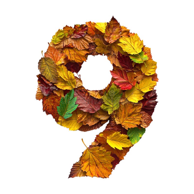 3D Rendering of a Alphabet Number 9 Made with Autumn Leaves on ...