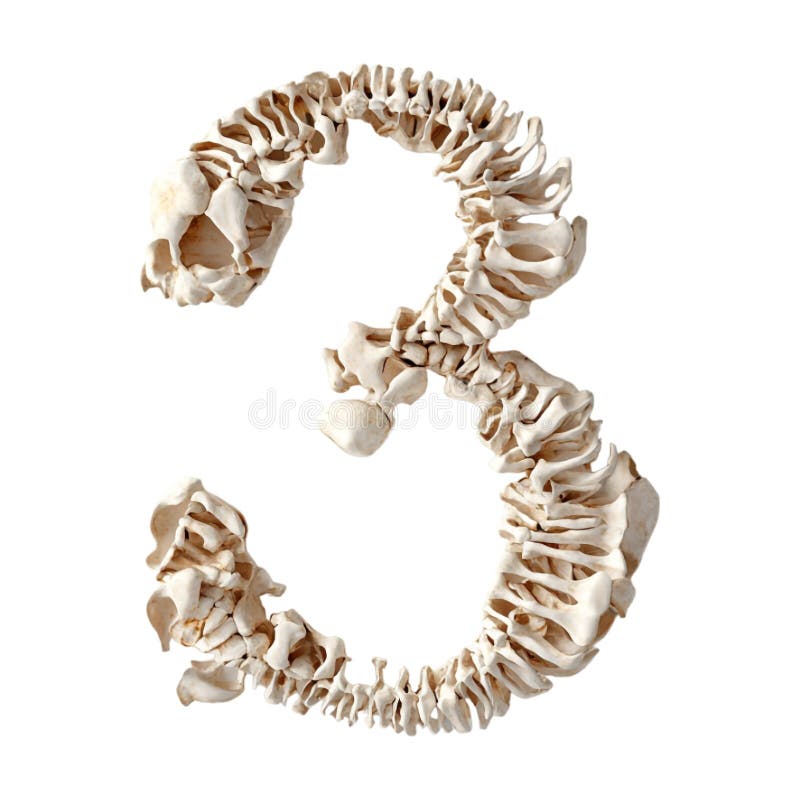 3D Rendering of a Alphabet Number 3 Made with Bones on Transparent ...