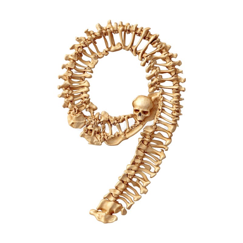 3D Rendering of a Alphabet Number 9 Made with Bones on Transparent ...