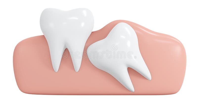 3D Rendering Angular Wisdom Teeth Icon Cartoon Style Isolated on White ...