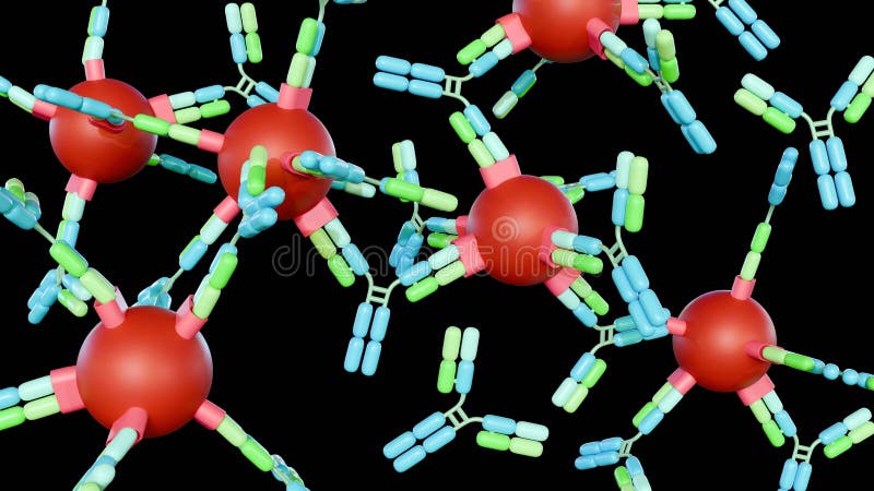 3d Rendering of Antigen-antibody Complexes, Also Known As Immune Complexes Stock Illustration ...